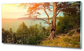 Wallmuralia Foto obraz skleněný horizontální Jezero Skandinávie 100x50