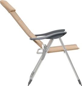 vidaXL Kempingové židle z hliníku 2 ks 58 x 69 x 111 cm [44314] Barva: Šedá