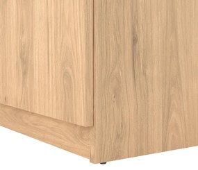 Tvilum Botník Simplicity 209 jackson hickory/černý mat