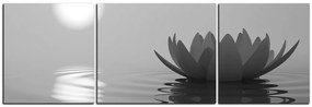 Obraz na plátně - Zen lotus - panoráma 5167QC (90x30 cm)