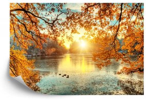 Fototapeta Podzimní Západ Slunce Samolepící tapety 254x184