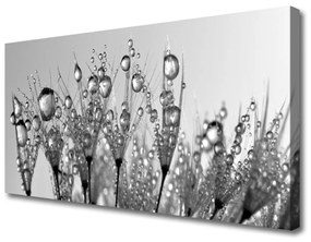 Obraz na plátně Abstrakce Rostlina Příroda 125x50 cm
