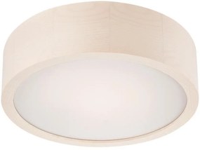 Stropní světlo led stropní svítidlo 1xled/12w/230v