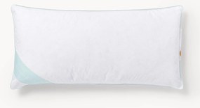 Polštář z peří a prachového peří Comfort, měkký