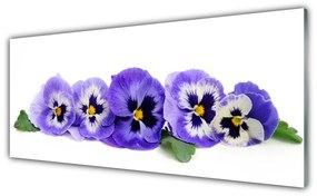 Plexisklo-obraz Plátky Květ Macešky 125x50 cm