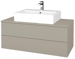 Dřevojas Koupelnová skříňka MODULE SZZ2 100 Varianta: N01 Bílá lesk / D03 Cafe