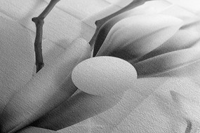 Obraz černobílá magnolie s abstraktními prvky