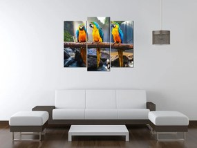 Gario Obraz s hodinami Barevní papoušci - 3 dílný Rozměry: 90 x 30 cm