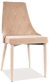 Jídelní čalouněná židle REX velvet béžová