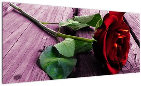 Ležící růže - obraz (100x40cm)