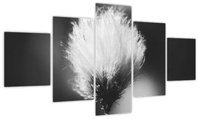 Obraz - Černobílý cottongrass (125x70 cm)