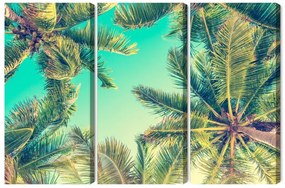 Vícedílný obraz Pohled Zdola Na Palmy Nedostatek Nedostatek Přírodní plátno 120x80