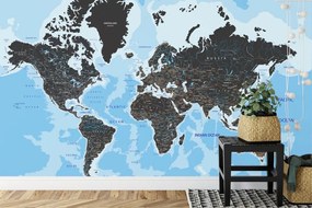 Fototapeta Mapa Světa Strukturální vinyl 135x90