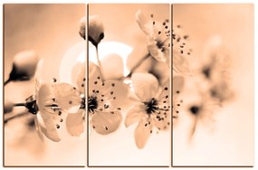 Obraz na plátně - Malé květy na větvi 1173FB (105x70 cm)