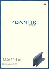 DANTIK rámeček 42x59,4 | ALU profil 6035 Dýha barevná modrá královská (Plexi Čiré)