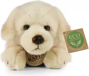 RAPPA Plyšový pes labrador 20 cm / ECO-FRIENDLY / od 0 měsíců