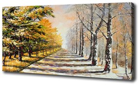 Wallmuralia Moderní obraz canvas na rámu Podzim vs zima 100x50
