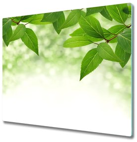 Skleněná krájecí deska Zelené listy