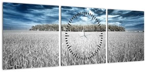 Obraz pole (s hodinami) (90x30 cm)