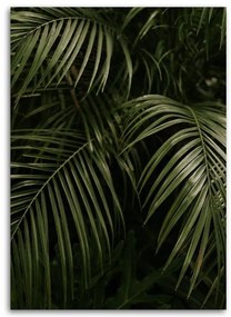 Gario Obraz na plátně Zelené palmové listy Rozměry: 40 x 60 cm