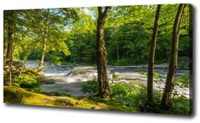 Wallmuralia Foto obraz na plátně Řeka v lese 100x50