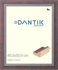 DANTIK rámeček 40x50 | AMALFI fialová (Sklo Čiré)
