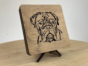 Li-Go "Boxer" lampa 19x19cm provedení povrchu: dub