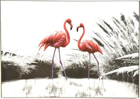 Obraz "Plameňáci" - tisk na papír na MDF desku,100x70cm