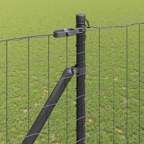 Evropský plot se hroty 10 x 1,6 m Ocel potažená PVC Šedá 3350708