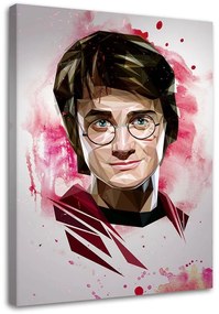 Gario Obraz na plátně Harry Potter, čaroděj - Dmitry Belov Rozměry: 40 x 60 cm
