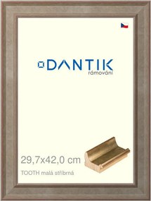 DANTIK rámeček 29,7x42 | TOOTH malá stříbrná (Plexi Čiré)