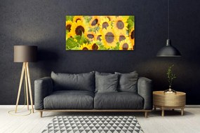 Obraz na skle Slunečnice 125x50 cm