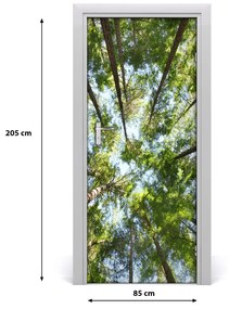Fototapeta na dveře samolepící koruna stromů 85x205 cm