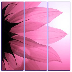 Obraz na plátně - Slunečnice květ - čtverec 3201VB (75x75 cm)
