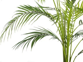 Umělá rostlina v květináči 120 cm ARECA PALM Beliani