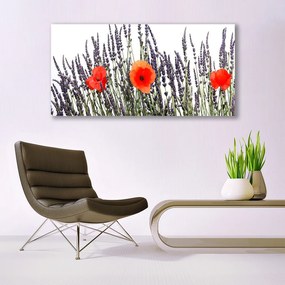 Plexisklo-obraz Květiny Máky Pole Trávy 120x60 cm