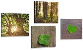 Set obrazů vánek přírody - 4x 60x60 cm