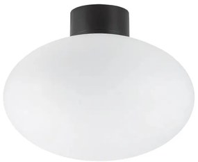 Ideal Lux - Venkovní stropní svítidlo CLIO 1xE27/42W/230V IP44 černá