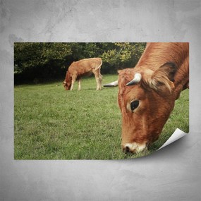 Plakát - Pasoucí se krávy (60x40 cm) - PopyDesign