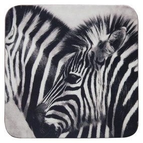 6 ks pevné korkové podtácky Zebras - 10*10*0,4cm