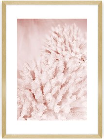 Plakát Pastel Pink II