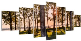 Obraz stromů u jezera (210x100 cm)