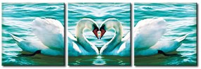 Obraz Příroda ptáků (3-dílný) - bílí labutě tvořící srdce společně