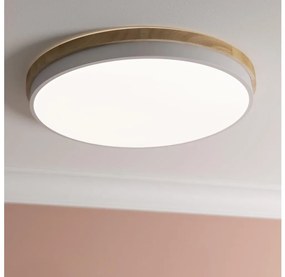 Brilliant - LED Stm stropní svítidlo BAARLO LED/36W/230V pr. 50 cm bílá + DO