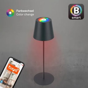 Briloner 7559015-LED RGB St stolní lampa COLORIS 3,5W/5V IP44 2000mAh Wi-Fi Tuya
