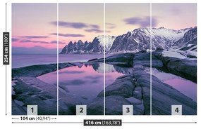 Fototapeta Zimní fjord 104x70