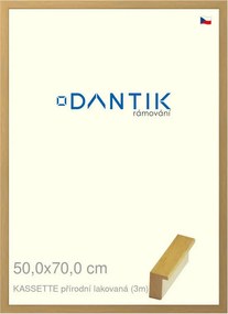 DANTIK rámeček 50x70 | KASSETTE přírodní lakovaná (Plexi Čiré)
