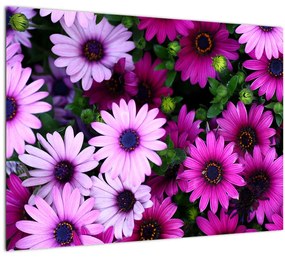 Skleněný obraz - Květy (70x50 cm)