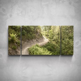 3-dílný obraz - Cesta v lese - PopyDesign