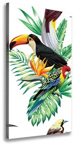 Wallmuralia Vertikální Foto obraz na plátně Tropičtí ptáci 50x100